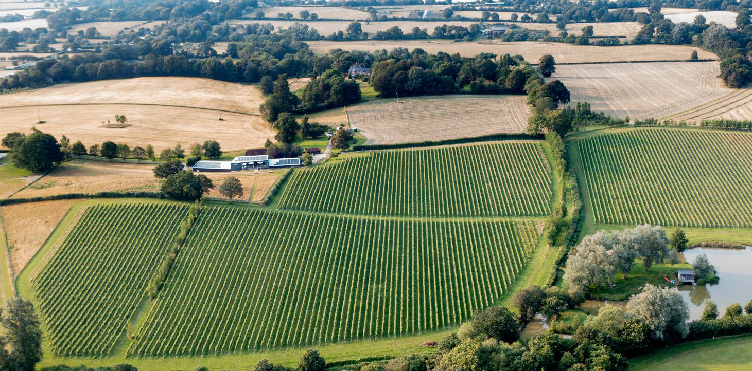 Visit Us for Wine Tastings & Vineyard Tours near Brighton